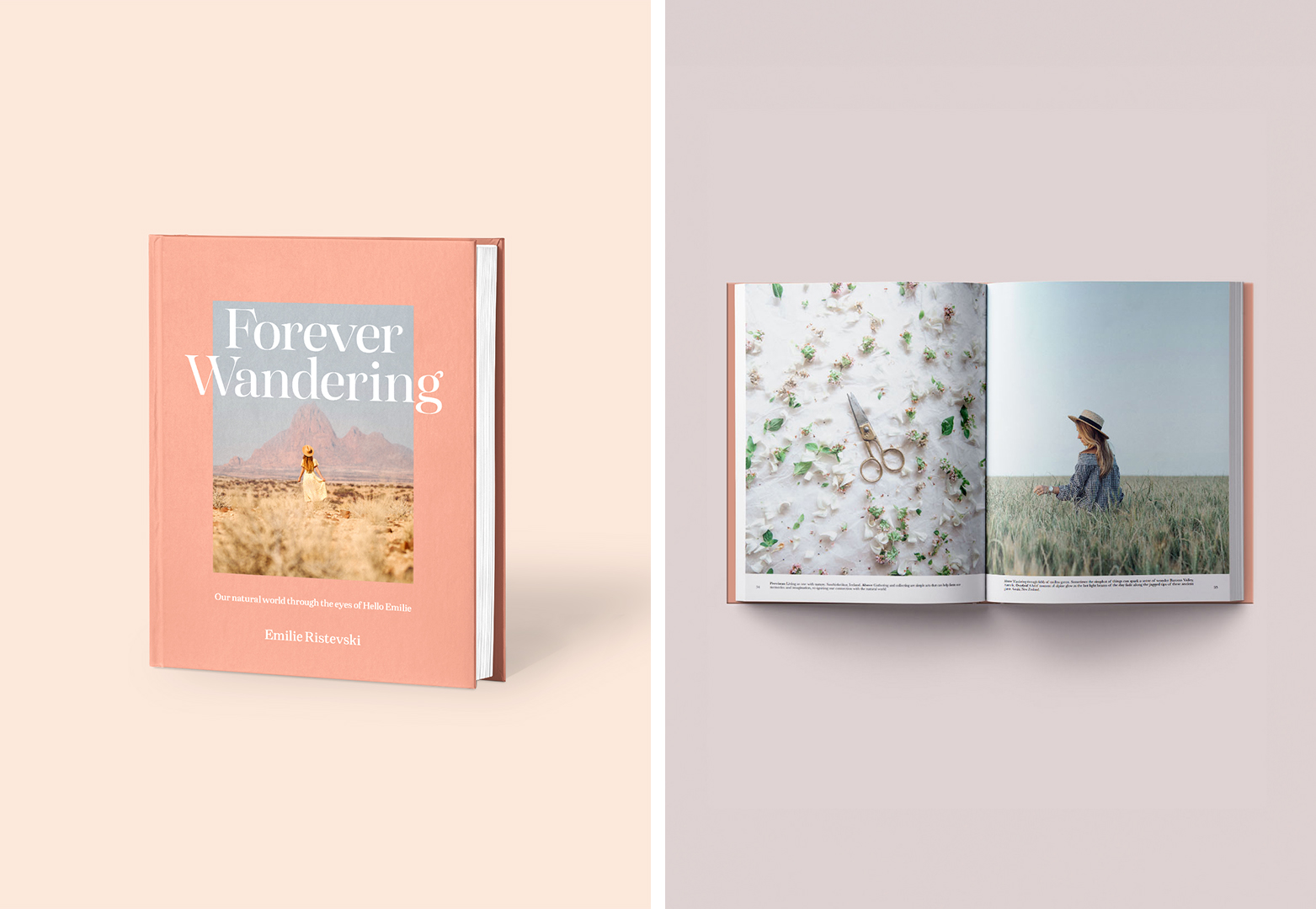 Forever Wandering: The Launch of My First Book | helloemilie.com